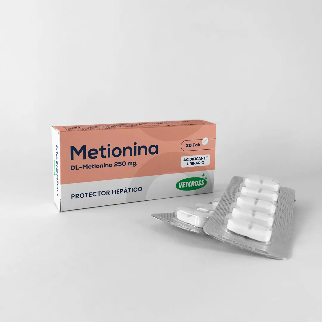 METIONINA